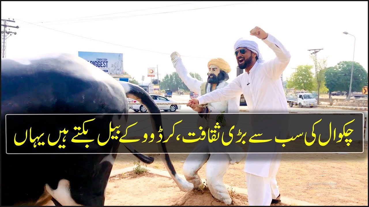 Bulls Race of Chakwal | Tasawar Munir | چکوال کا جلسہ - YouTube