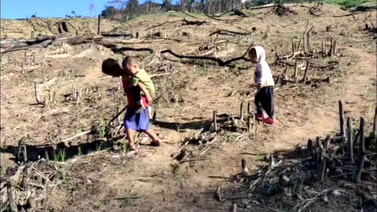 ua neeg yeej khwv tiag(@#Refugio) - YouTube