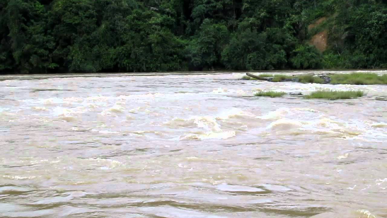 Pelagus Rapids, Rajiang River, Borneo, B - YouTube
