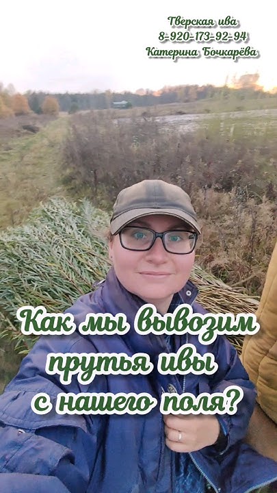 🔥Как мы вывозим прутья ивы с нашего поля??? Работа с ивой. #ива # ...