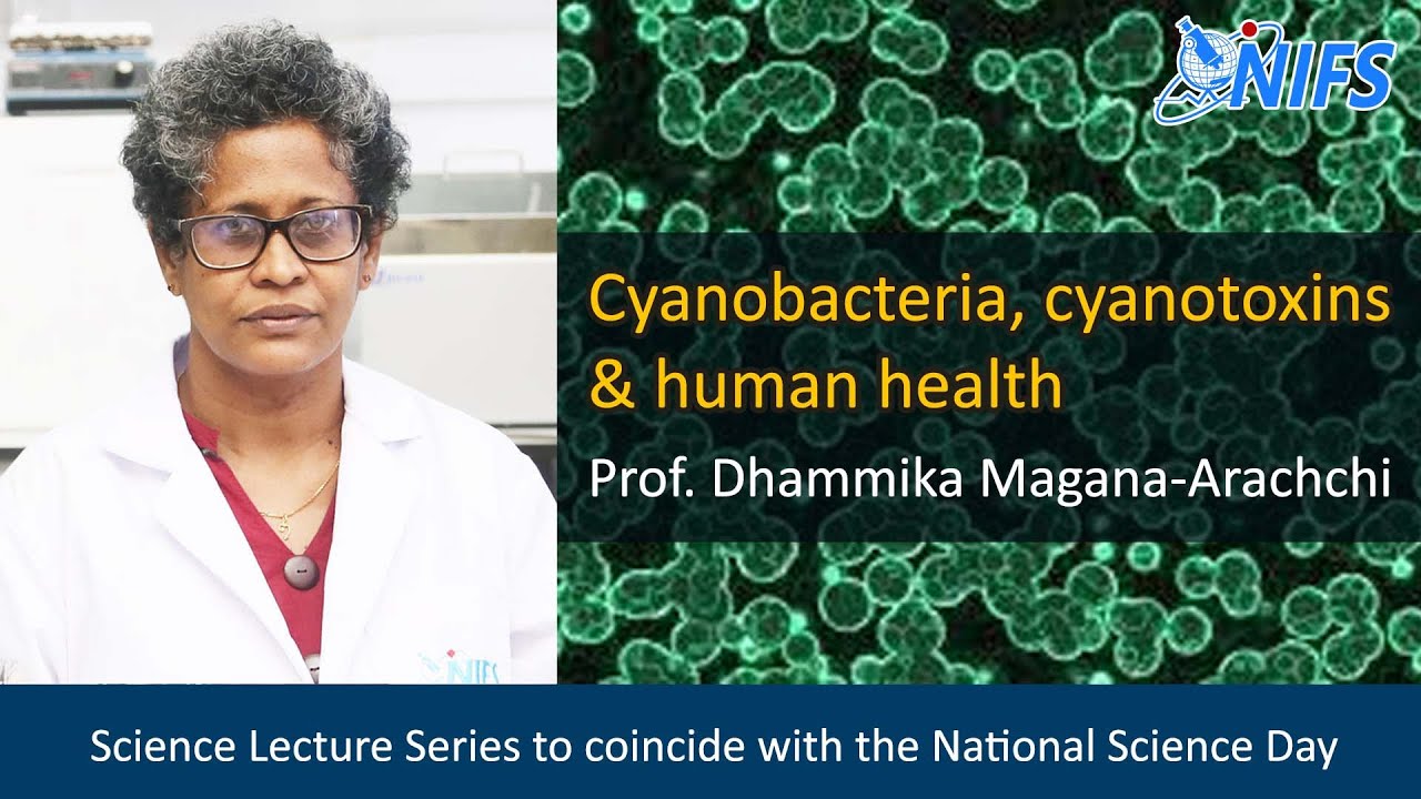Cyanobacteria, cyanotoxins & human health by Prof. Dhammika Magana-Arachchi - YouTube