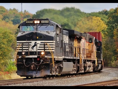 Norfolk Southern & Union Pacific Intermodal with Tags Fort Wayne Line ...