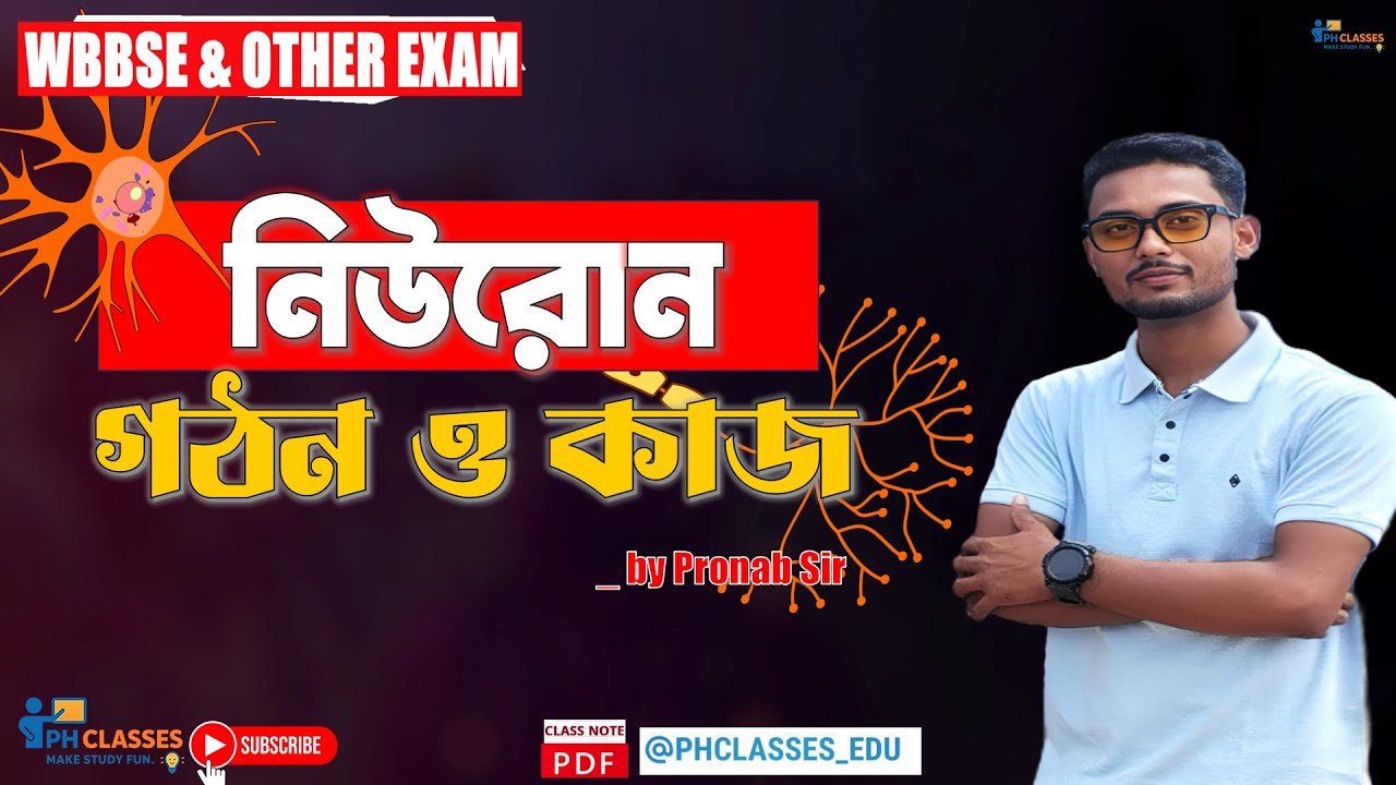 নিউরোন‌ | Neuron | স্নায়ু কোশ |Life Science |Biology Madhyamik 2026 ...