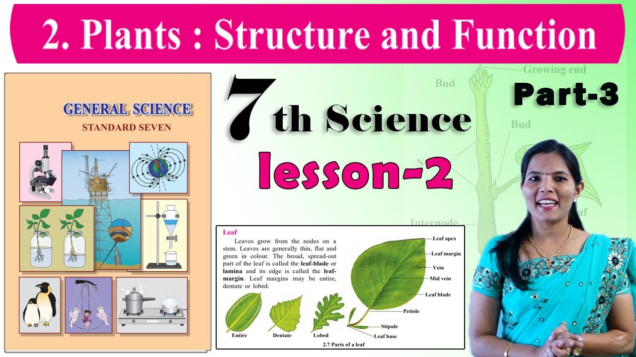 7th Science | Chapter 2 | Plants : Structure and Function | Part 3 ...