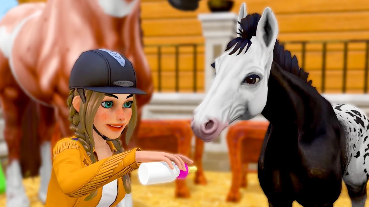 Star Equestrian - Breeding beautiful foals explained! - YouTube