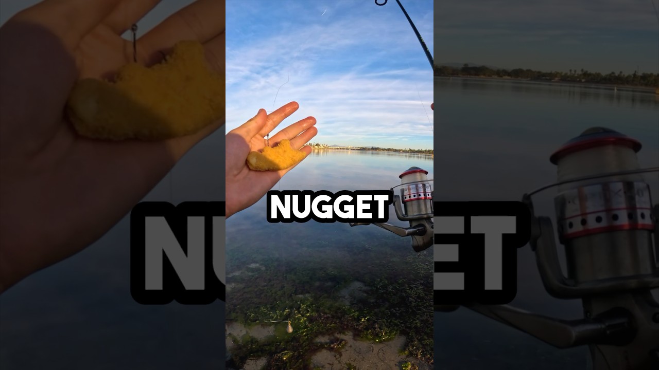 Fishing With A DINO NUGGET! #fishingvideo #fishing #shorts - YouTube