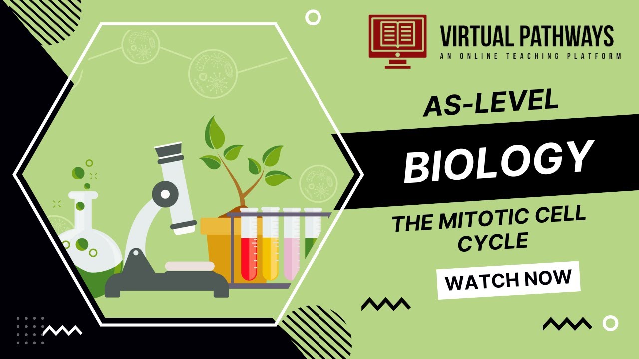 The Mitotic Cell Cycle (Part 1) | AS-Level Biology 9700 | Virtual ...