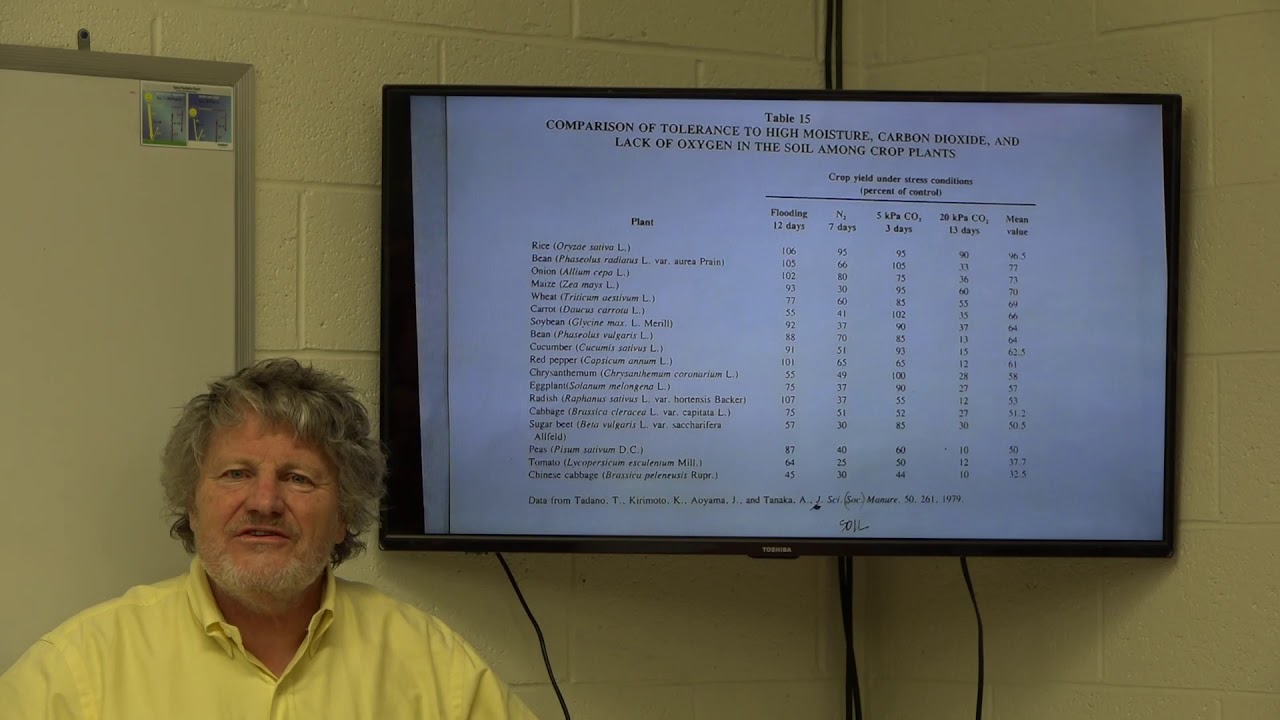Respiration Efficiency and Carbon Use Efficiency with Dr. Bruce Bugbee ...