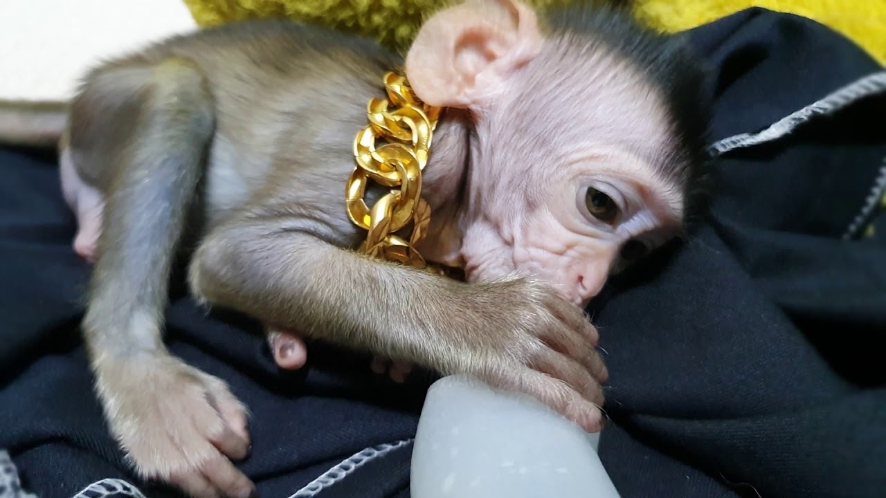 Lori Sleep Get Milk Very Cute Style - YouTube