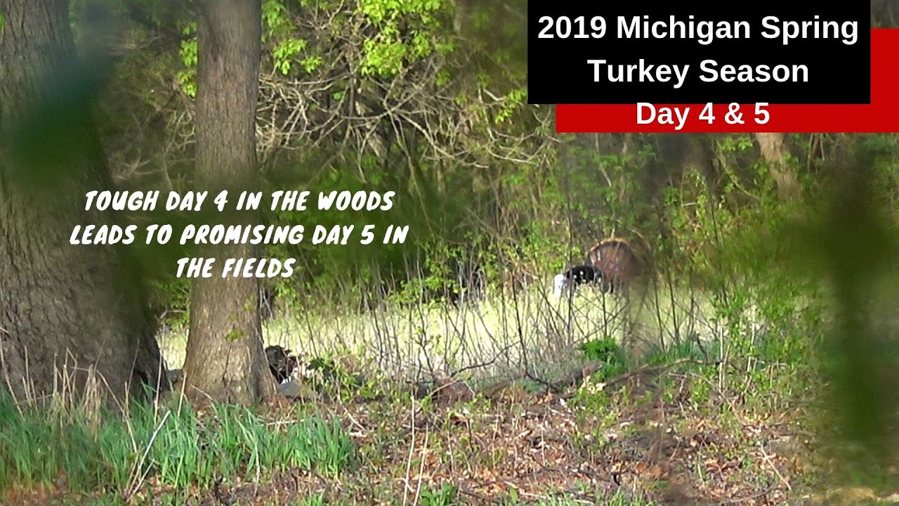 2019 Michigan Spring Turkey Season Day 4 & 5: Tough Day 4 Leads to ...