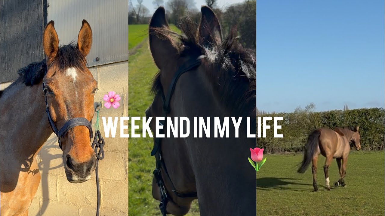WEEKEND WITH MY HORSE - YouTube