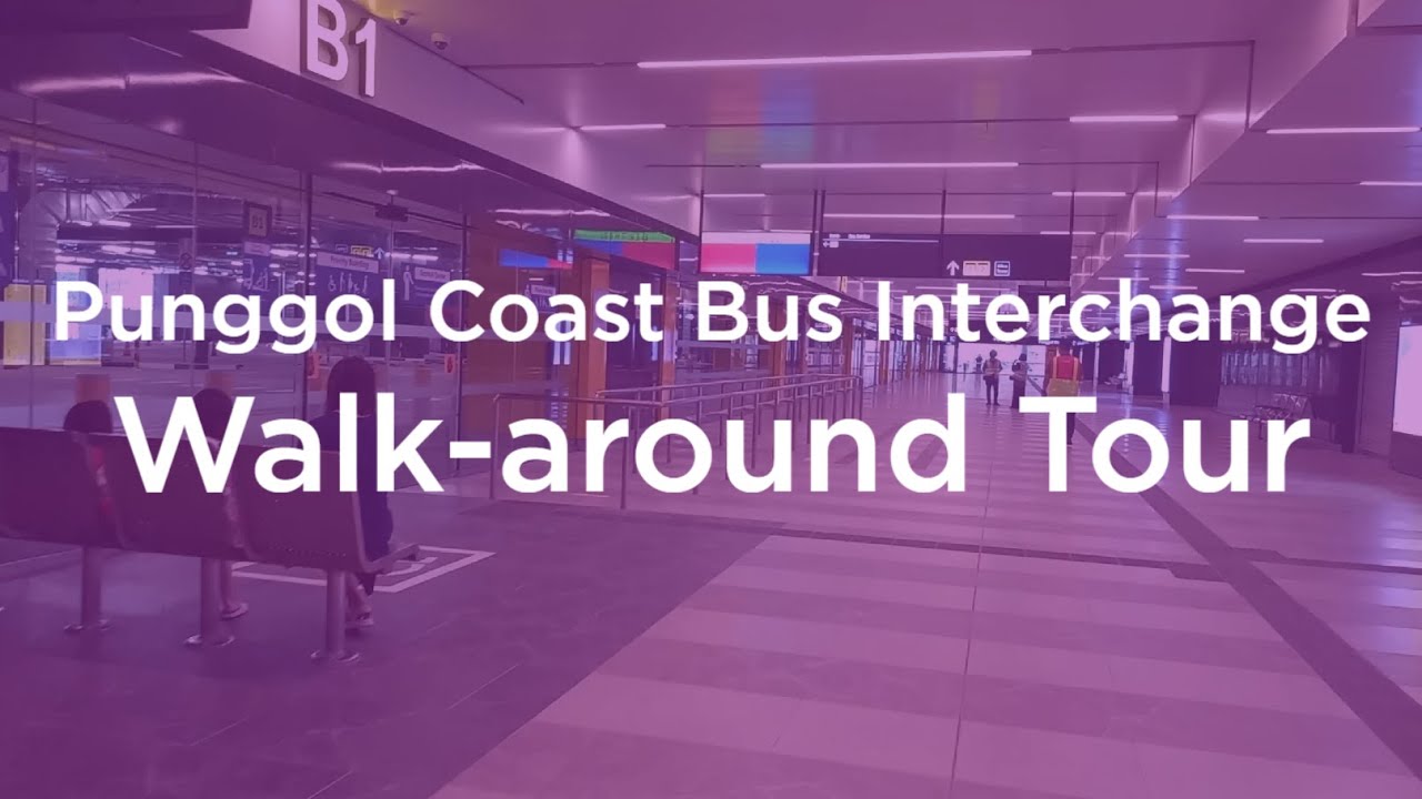 Punggol Coast Bus Interchange Walk-around Tour - YouTube