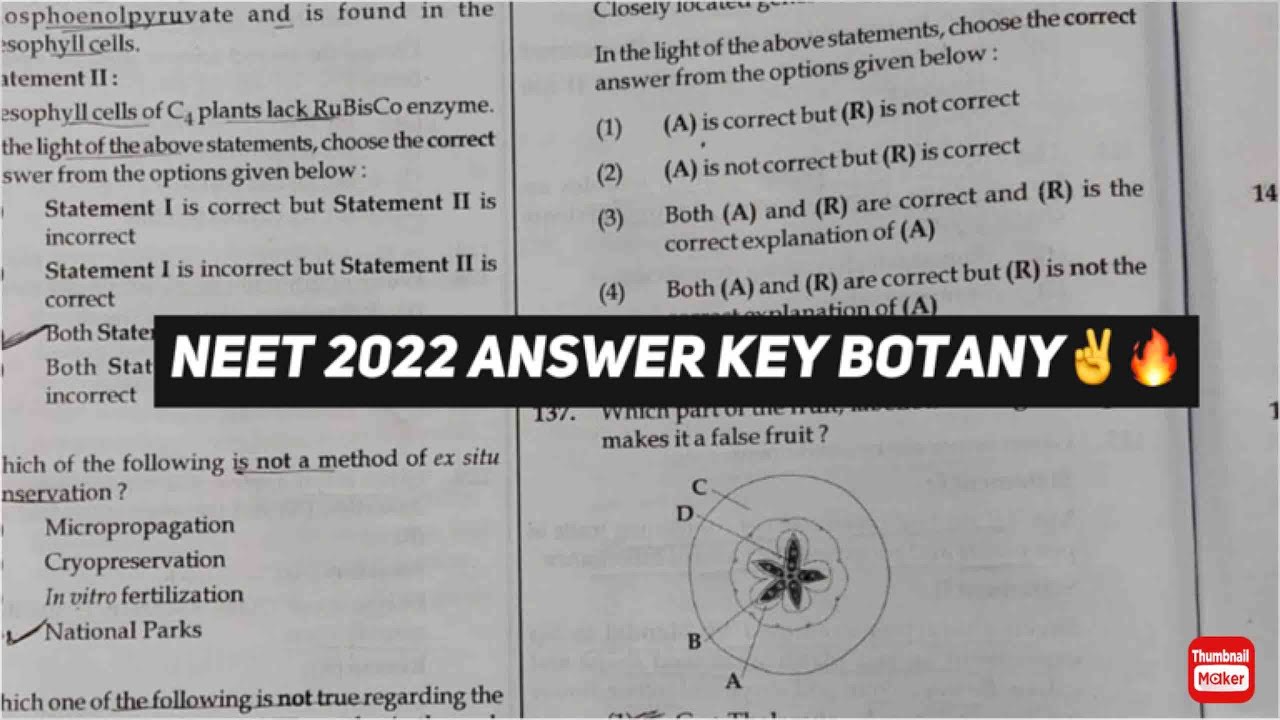NEET 2022 ANSWER KEY #neet2022 - YouTube