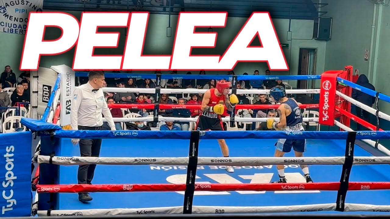 VOLVÍ A PELEAR - YouTube