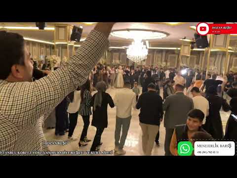 HOZAN REŞO🌹 5.4.2025 Herem: Bagirî ( Muradiye) İSTANBUL KÖRFEZ MALBATA  KUŞÇU MALBATA KURT