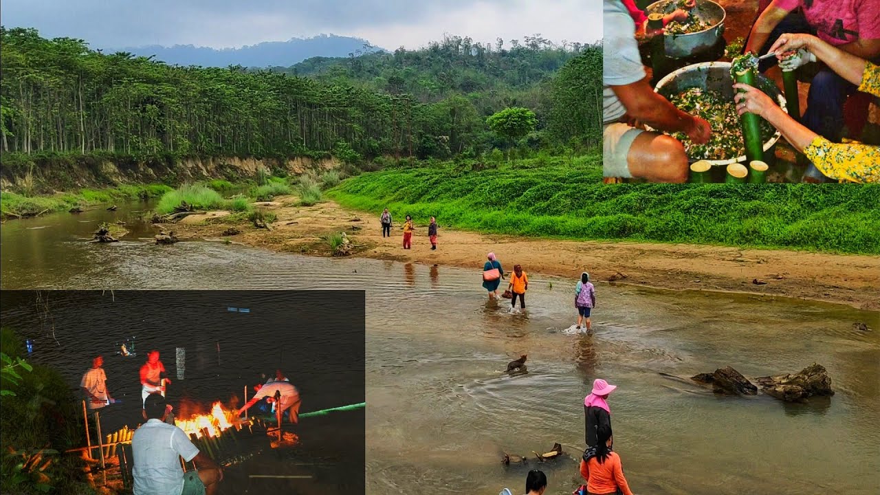 COOKING FISH IN BAMBOO IN NAGA TRADITIONAL WAY (FISH PONGSEN) - YouTube