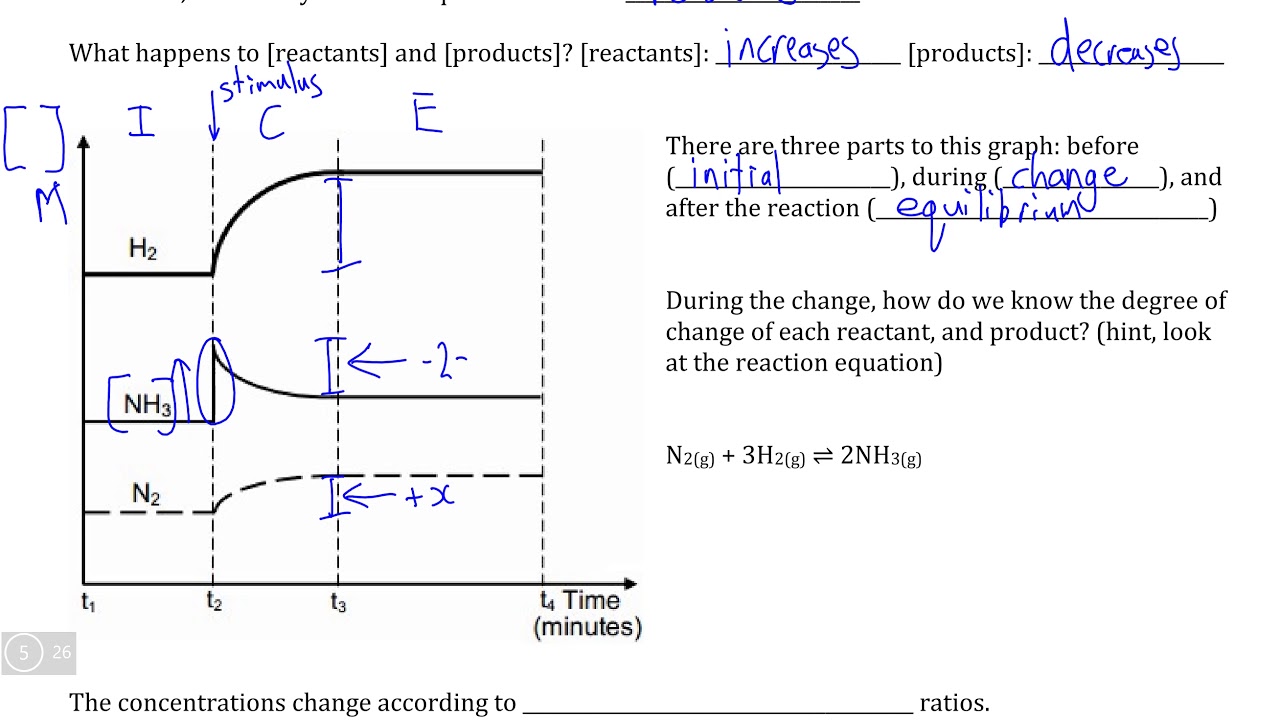 Dynamic Equilibrium III, Video V - Representing Equilibrium Shifts ...