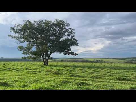 Vsao geral do sistema de biofertilização Fazenda Bom Sucesso