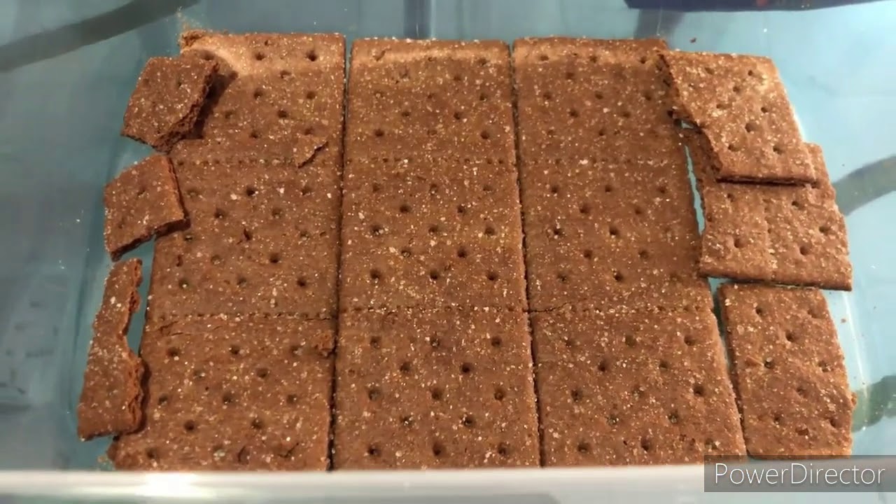 MANGO GRAHAM FLOAT😘 - YouTube