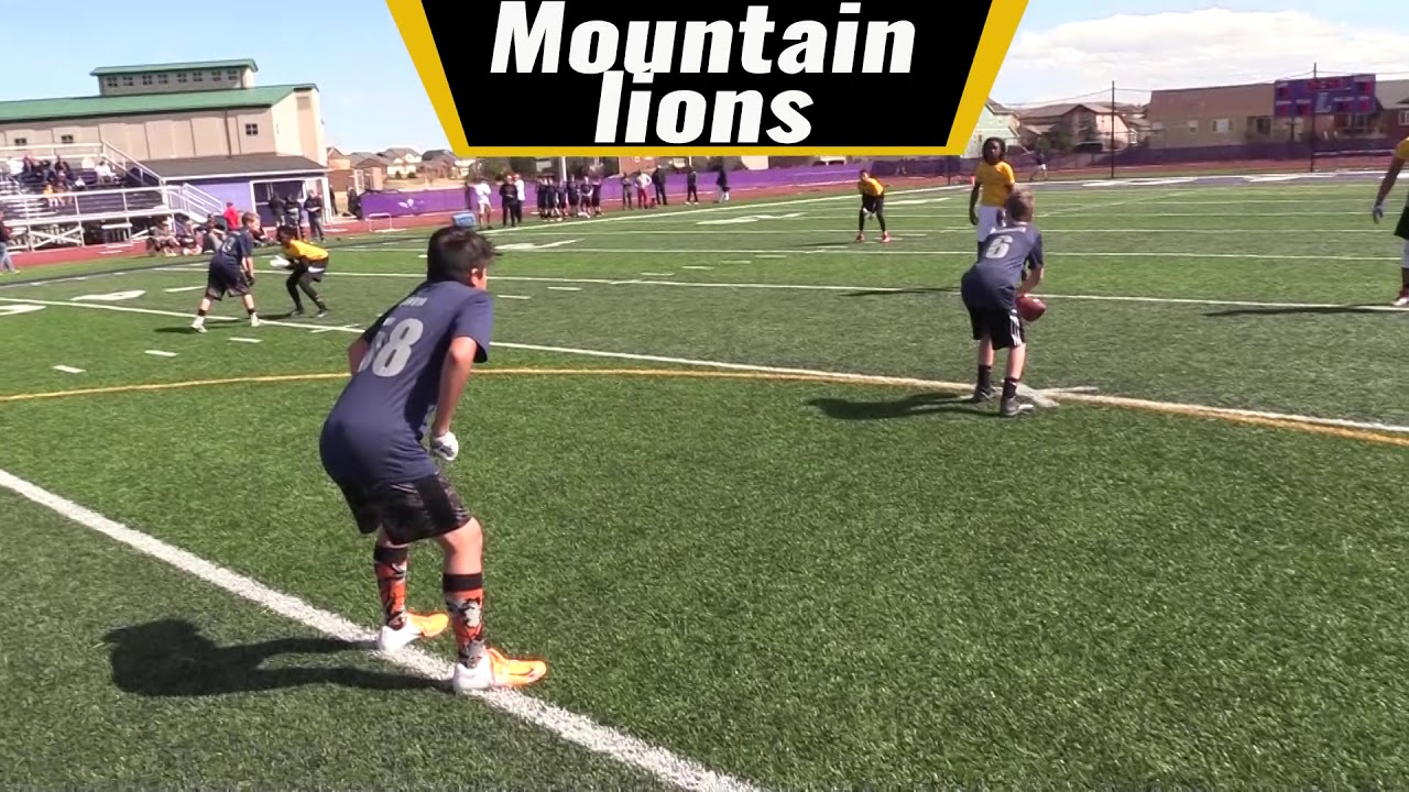 Jenkins Elite 7v7 Week #1: Mountain Lions VS. Colorado Wild - YouTube