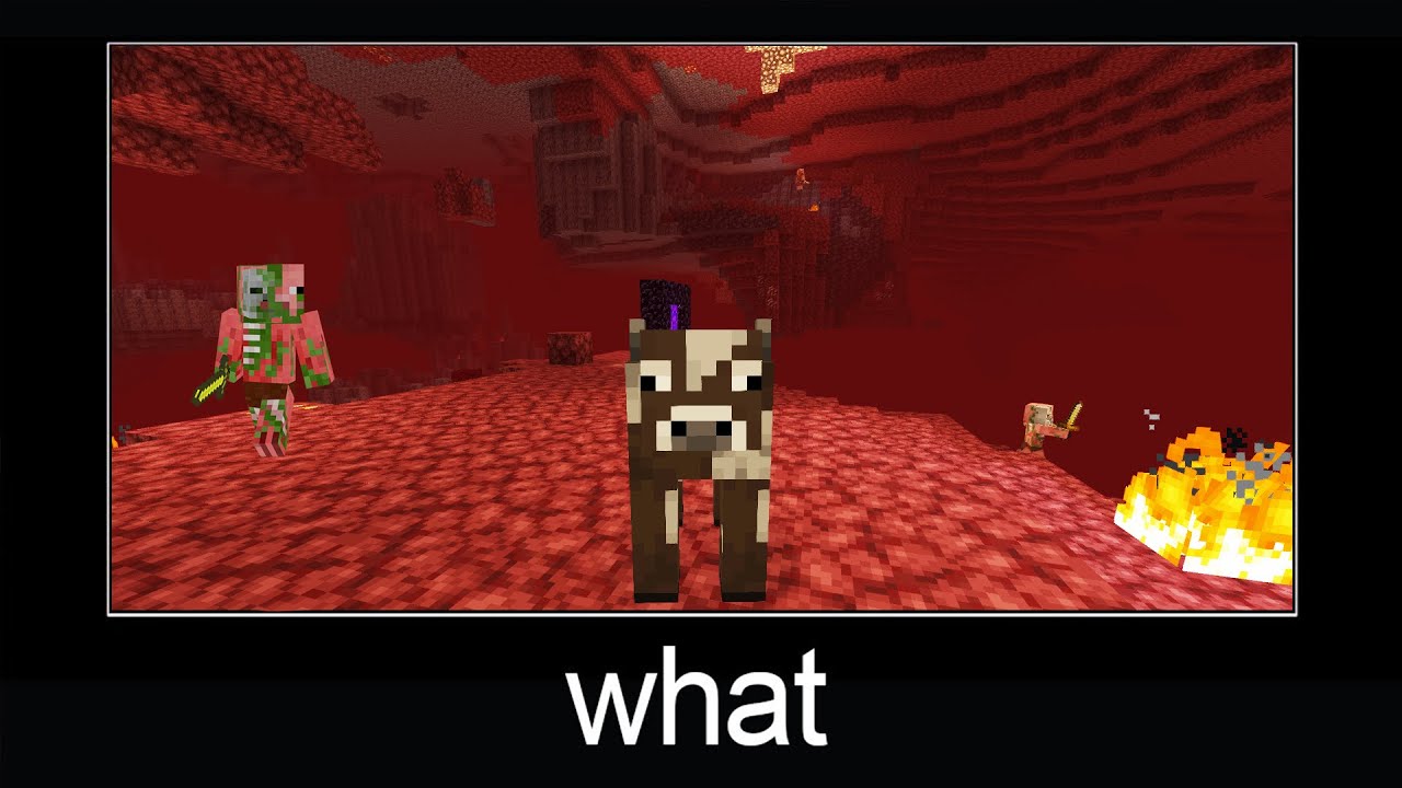 Minecraft wait what meme (Cow in nether) - YouTube
