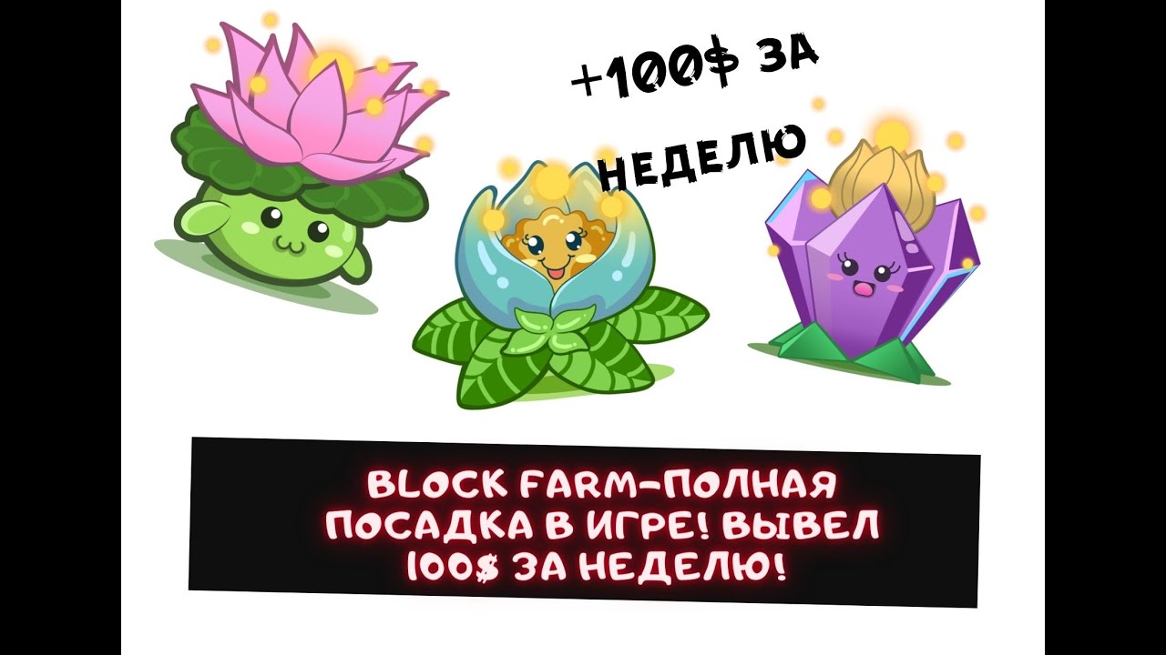 BLOCK FARM -ПОЛНАЯ ПОСАДКА В ИГРЕ! ВЫВЕЛ 100$ ЗА НЕДЕЛЮ С ОДНОГО ...