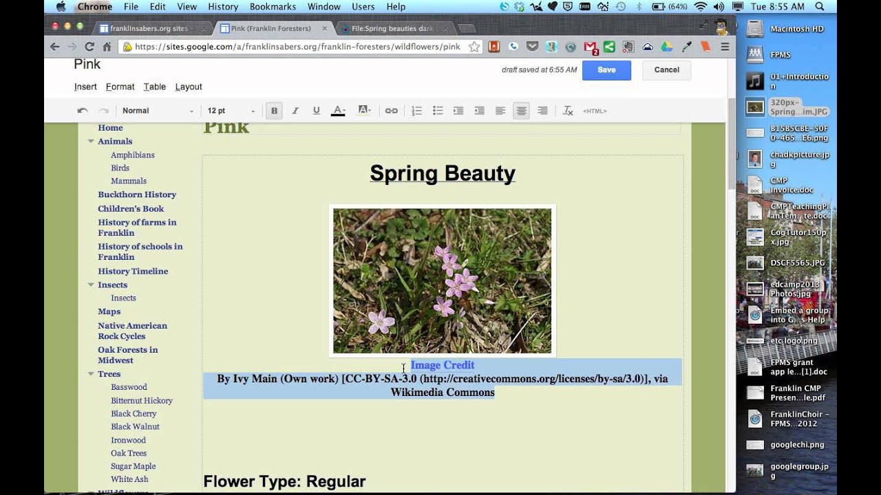 Google & Flickr - Images Free To Use or Reuse - YouTube