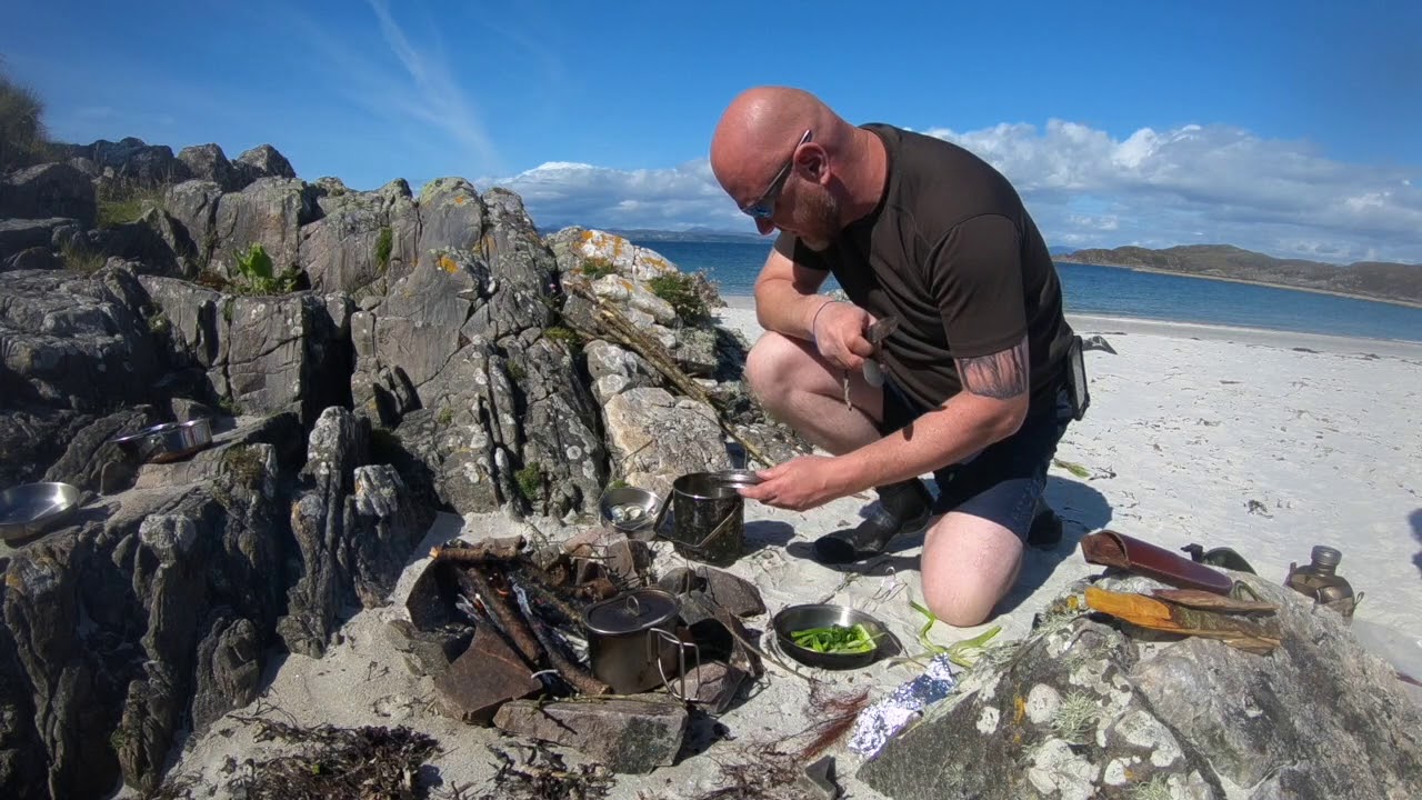 Sea Food Forage and Survival - YouTube