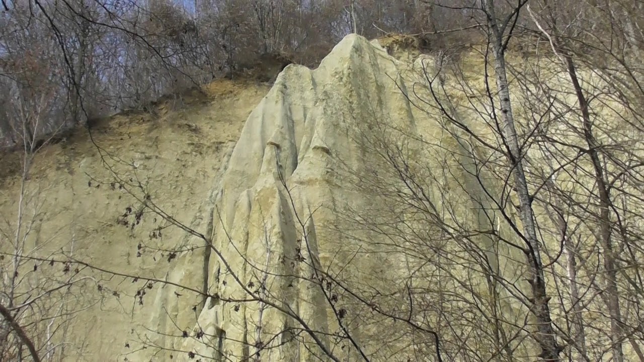 A wandering dog in the geomorphological reserve The Earth Pyramids of ...