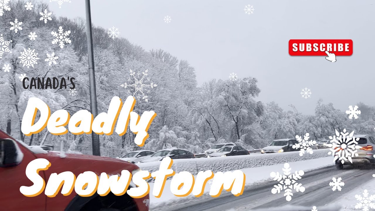 Deadly Snowstorm in Canada today 🇨🇦 | 25 CM Snow | Mini vlog Canada ...