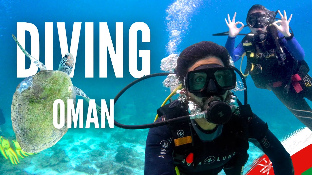 BEST DIVING in the Middle East - Daymaniyat Islands | FINAL Oman Road ...