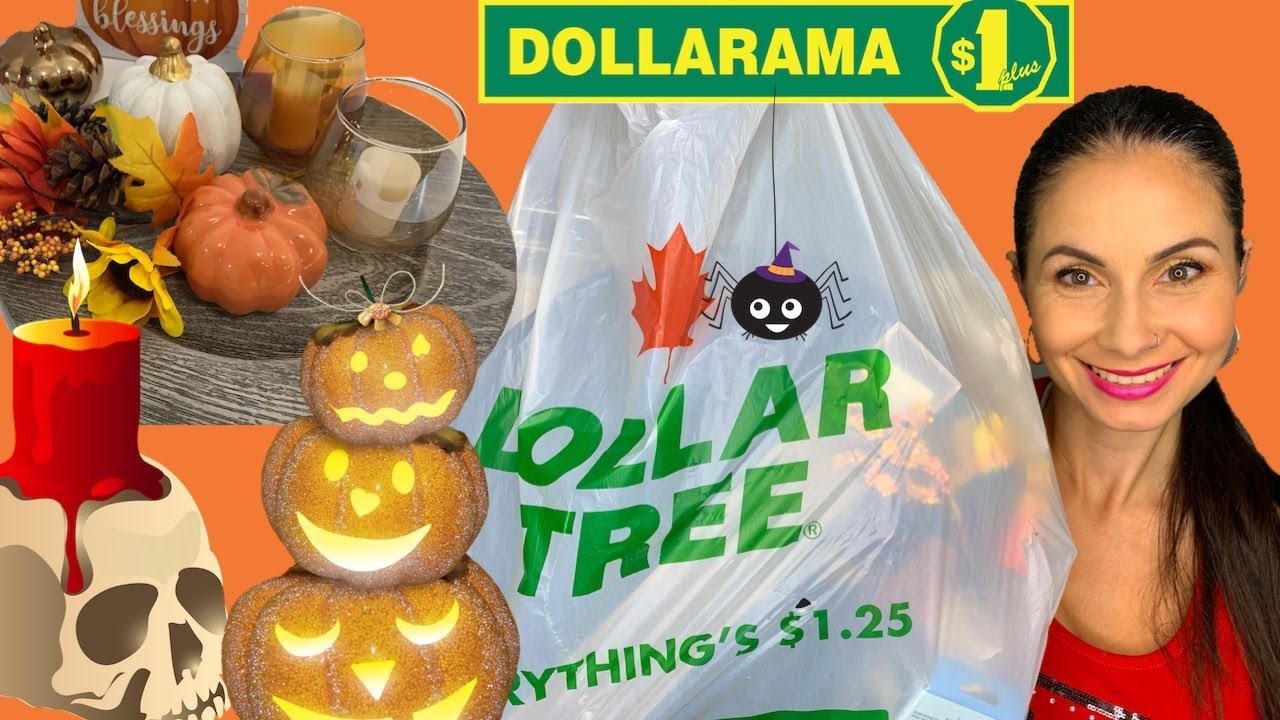 FALL DOLLAR TREE AND DOLLARAMA HAUL| Fall Decor and Halloween Costumes ...