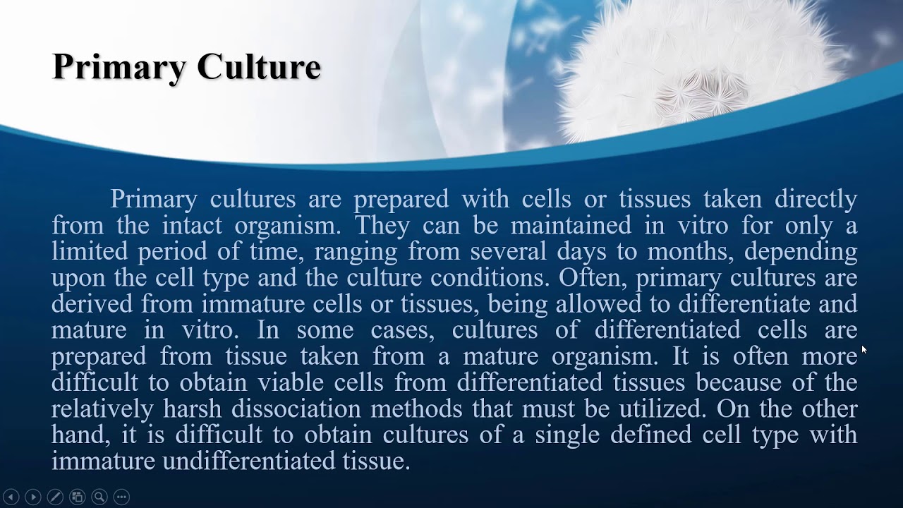 advanced laboratory techniques theoretical / lecture 14 - YouTube