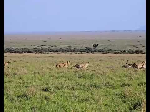 Kasongo Yeye🙆🏻🤣