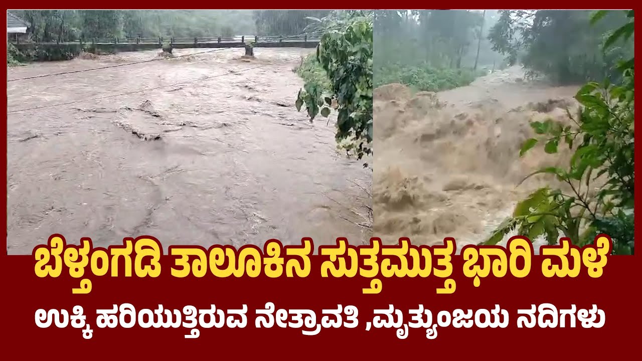 ಬೆಳ್ತಂಗಡಿ ತಾಲೂಕಿನ ಸುತ್ತಮುತ್ತ ಭಾರಿ ಮಳೆ | Heavy rain in Belthangady taluk ...
