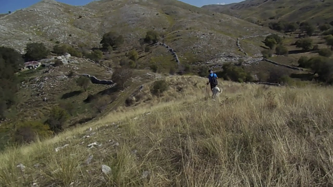 ΕΝΑ ΠΡΩΙΝΟ ΣΤΗ ΦΥΣΗ [trekking] - YouTube