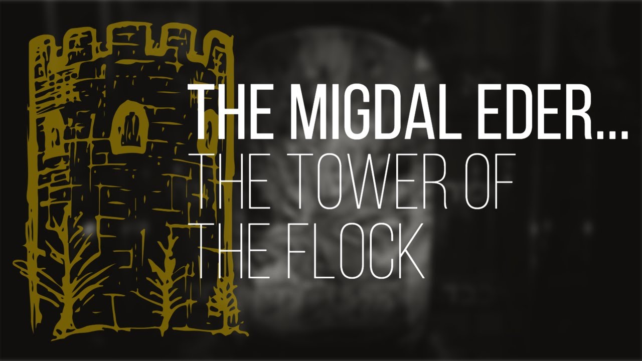 The Migdal Eder...the Tower of The Flock - Drash (12/10/2022) - YouTube