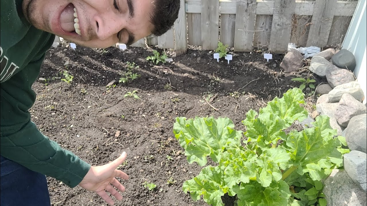 checking up to see how our graden doing - YouTube