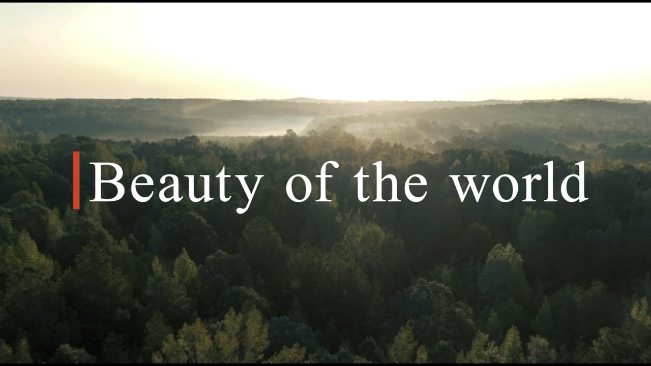 Beauty of the world - YouTube