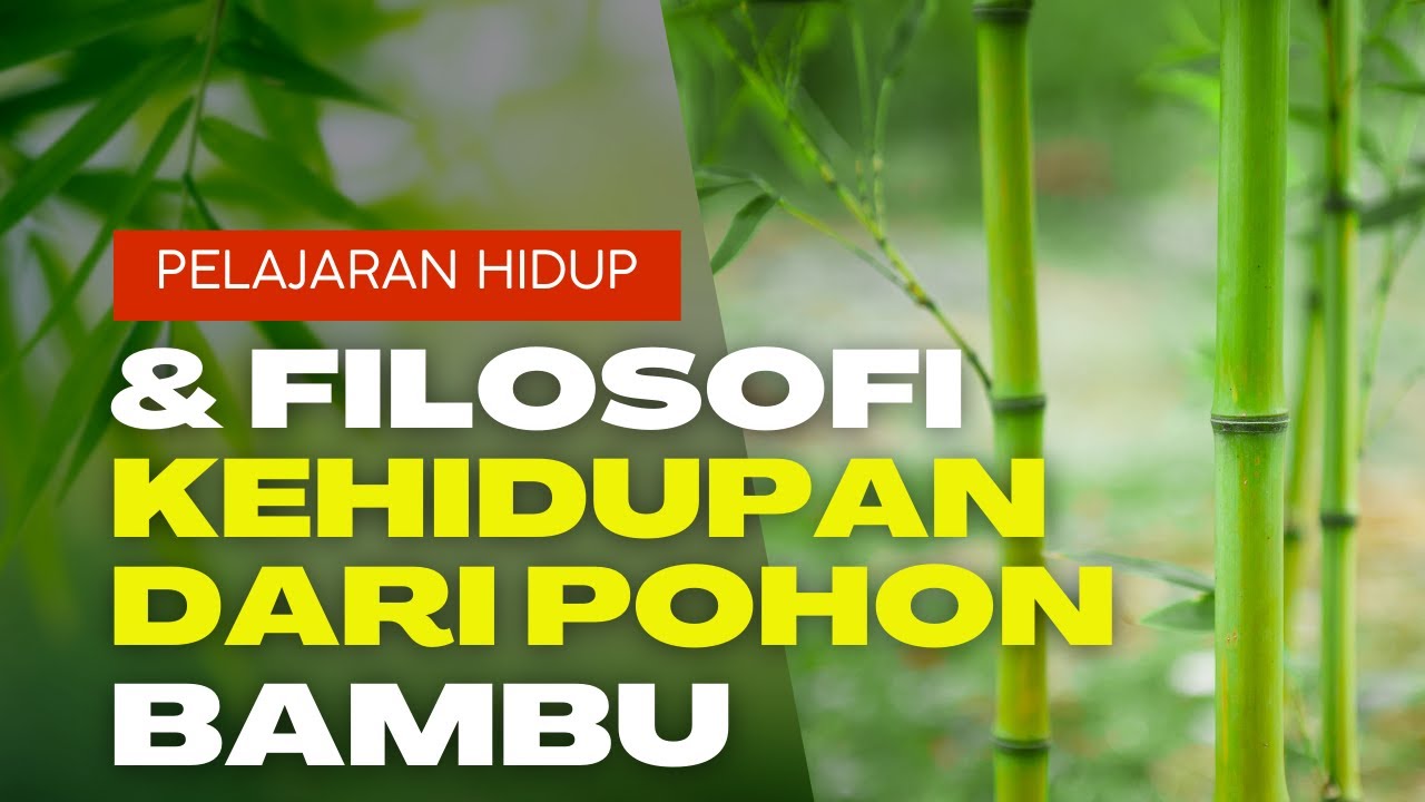 Pelajaran Hidup Berharga dari Pohon Bambu (filosofi pohon bambu ...