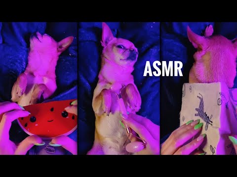 ASMR 💛Sleepy live - YouTube