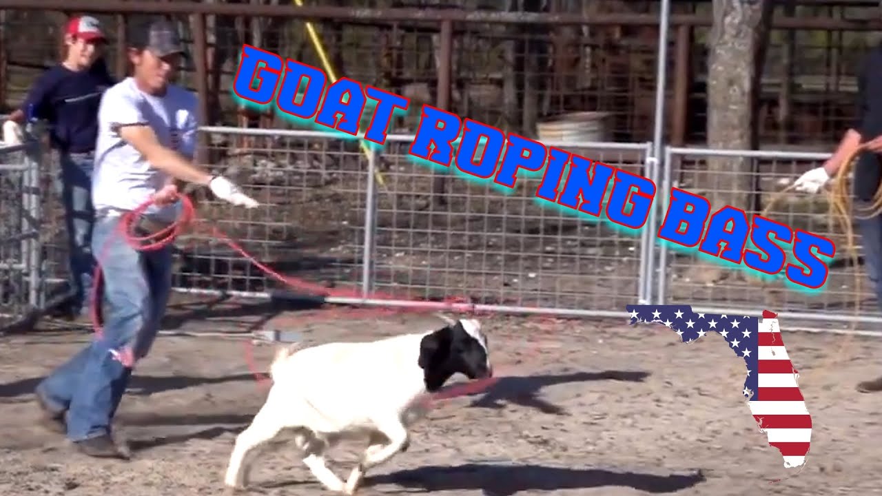 Goat Roping Bass - YouTube