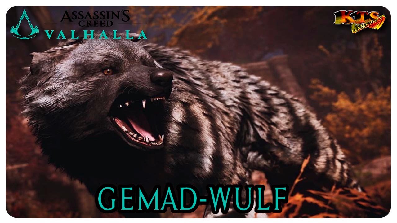 ASSASSIN´S CREED VALHALLA. | #101: GEMAD-WULF. [ANIMAL LEGENDARIO ...