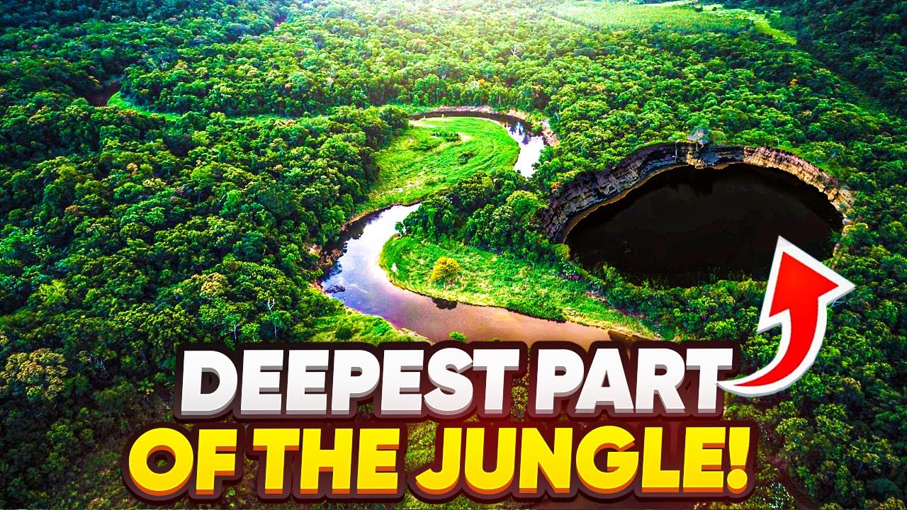 Do you ever wonder what’s in the deepest parts of the jungle - YouTube