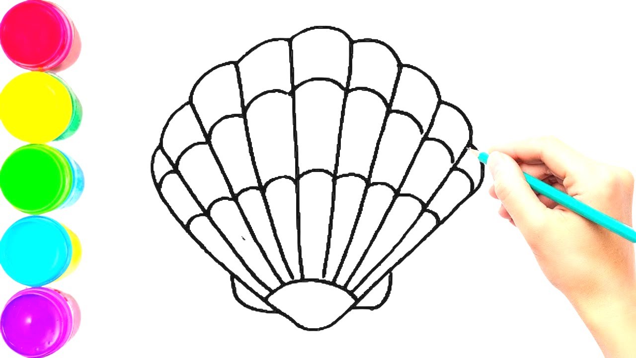 How To Draw A Beautiful Shell | Draw a Shell - YouTube