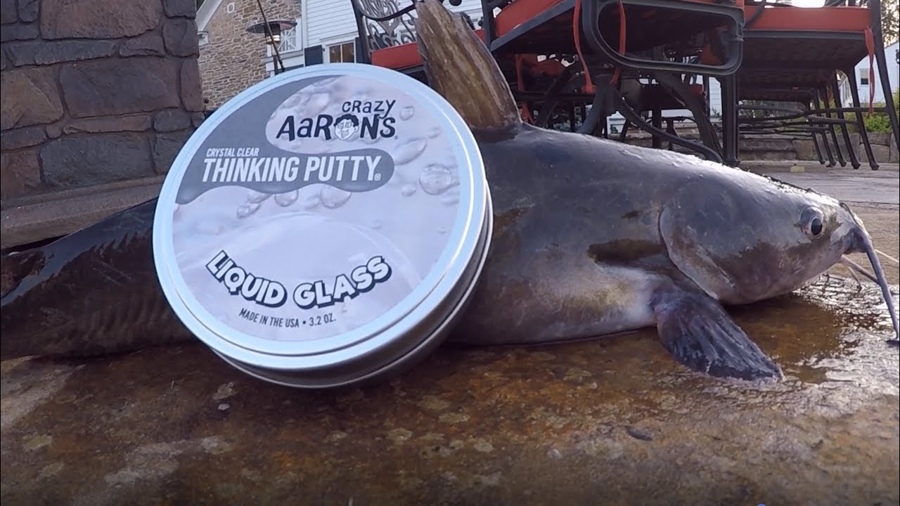 Catching Fish With Putty??? - YouTube