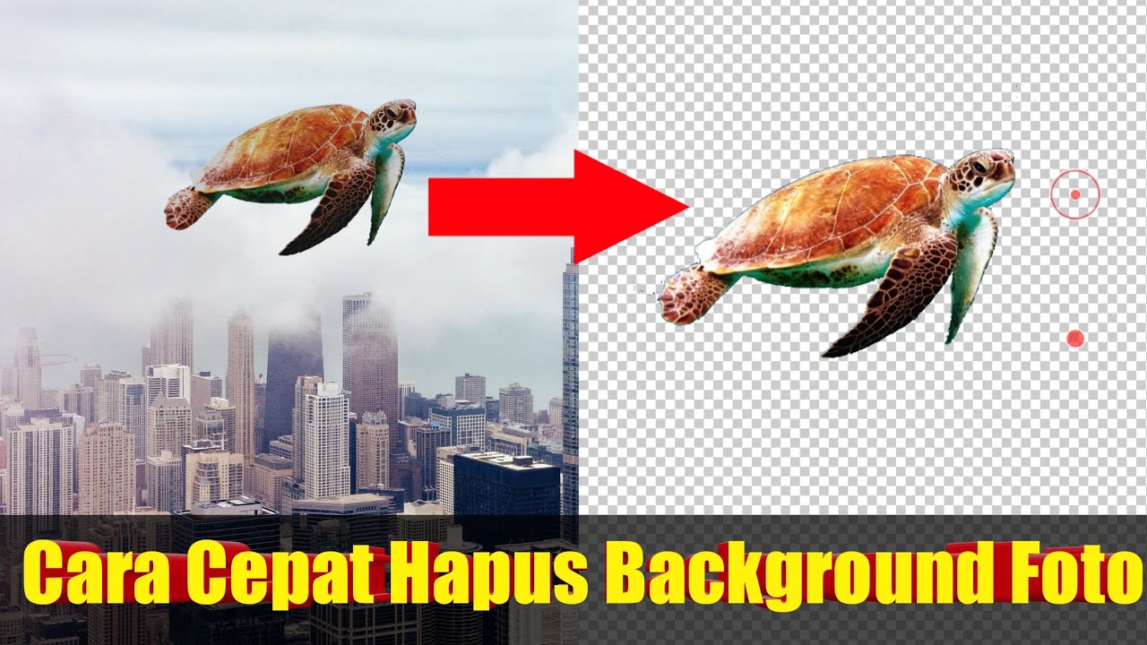 aplikasi hapus Background foto dengan cepat | Background eraser app ...