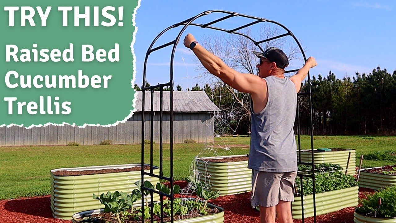 BUILD A RAISED BED TRELLIS IN 5 MINUTES! - YouTube