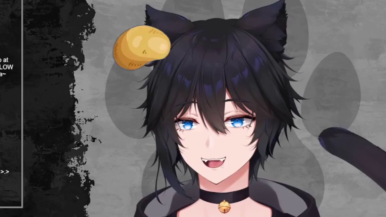 Catboy.EXE has Crashed - YouTube