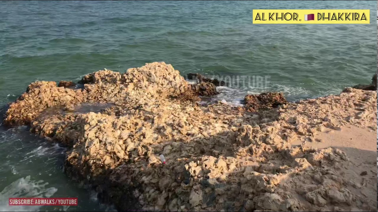 Catch and Release, Baby hamour and Queen fish Release. Qatar 🇶🇦 - YouTube